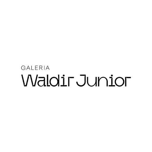 Galeria Waldir Junior